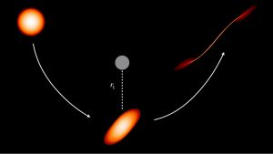 Tidal Disruption Events - gravitationalwaves – Syracuse University
